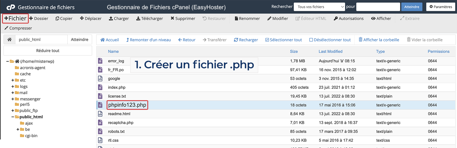 Comment Cr er Un Fichier PHP Phpinfo EasyHoster